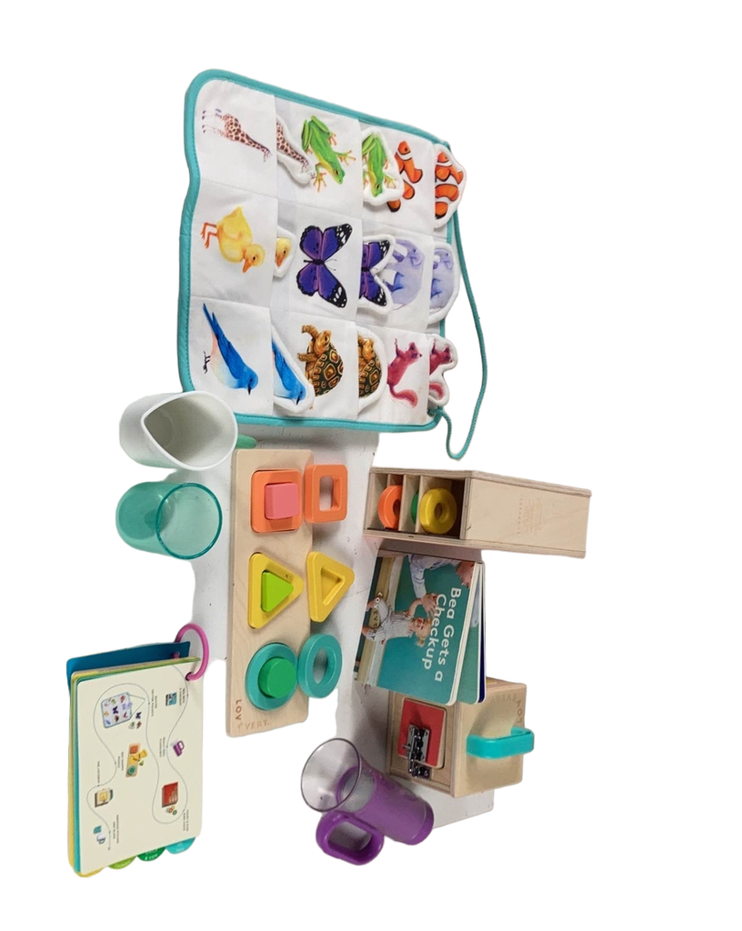 Lovevery The Realist Play Kit