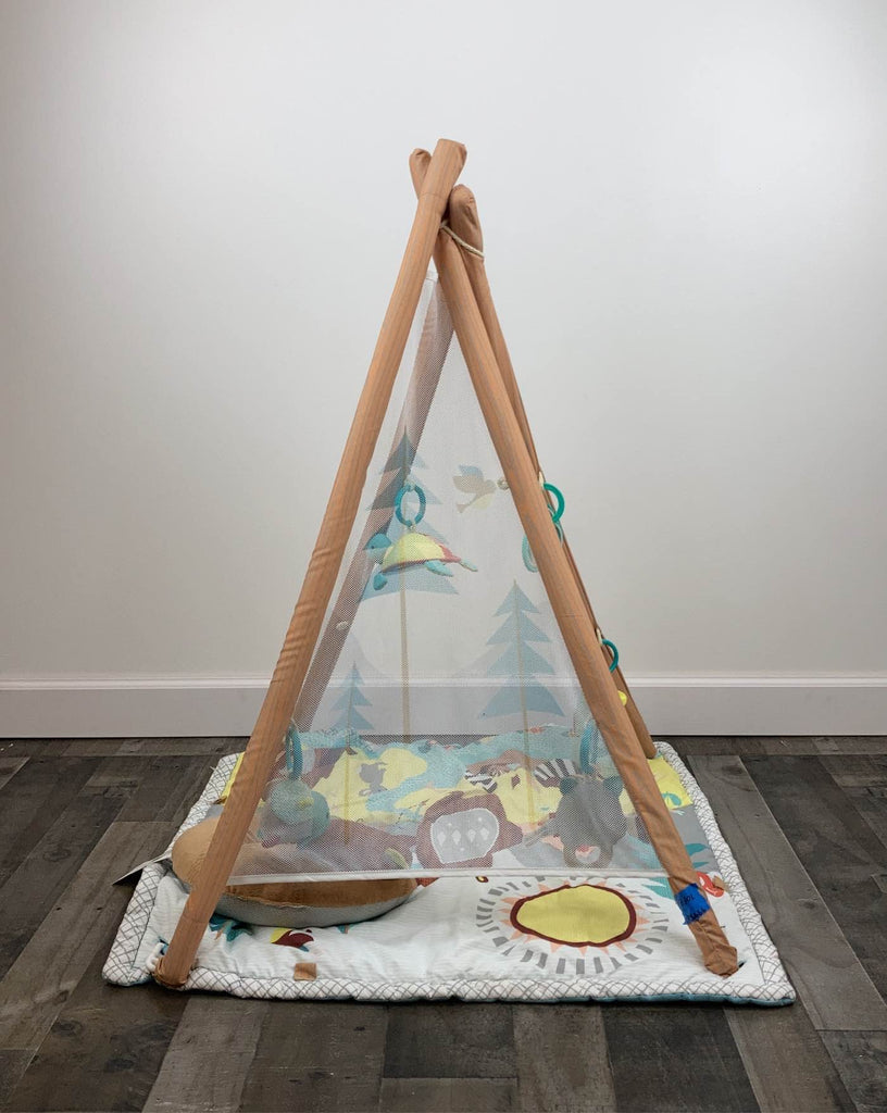 Skip Hop Camping Cubs Activity Gym