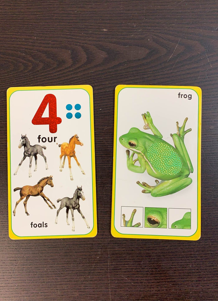 Scholastic Hands-On Learning Touch and Feel Cards
