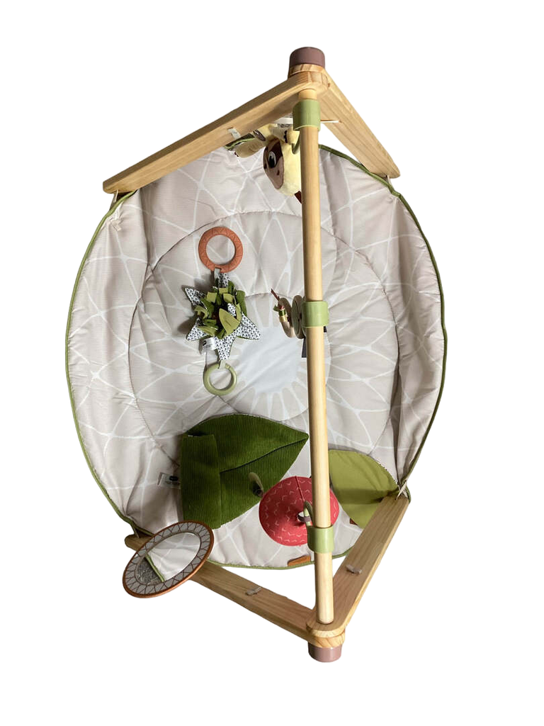 Tiny Love Boho Chic Luxe Developmental Gymini