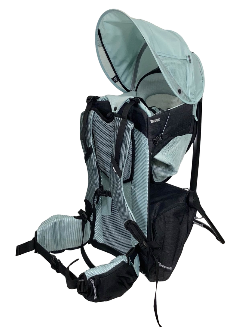 Thule Sapling Child Carrier, Black — GoodBuy Gear