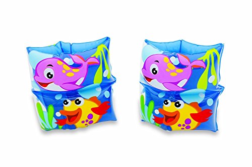 Intex Swimming Arm Bands