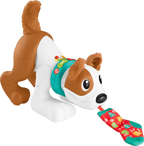 Fisher Price 1-2-3 Crawl With Me Puppy — GoodBuy Gear