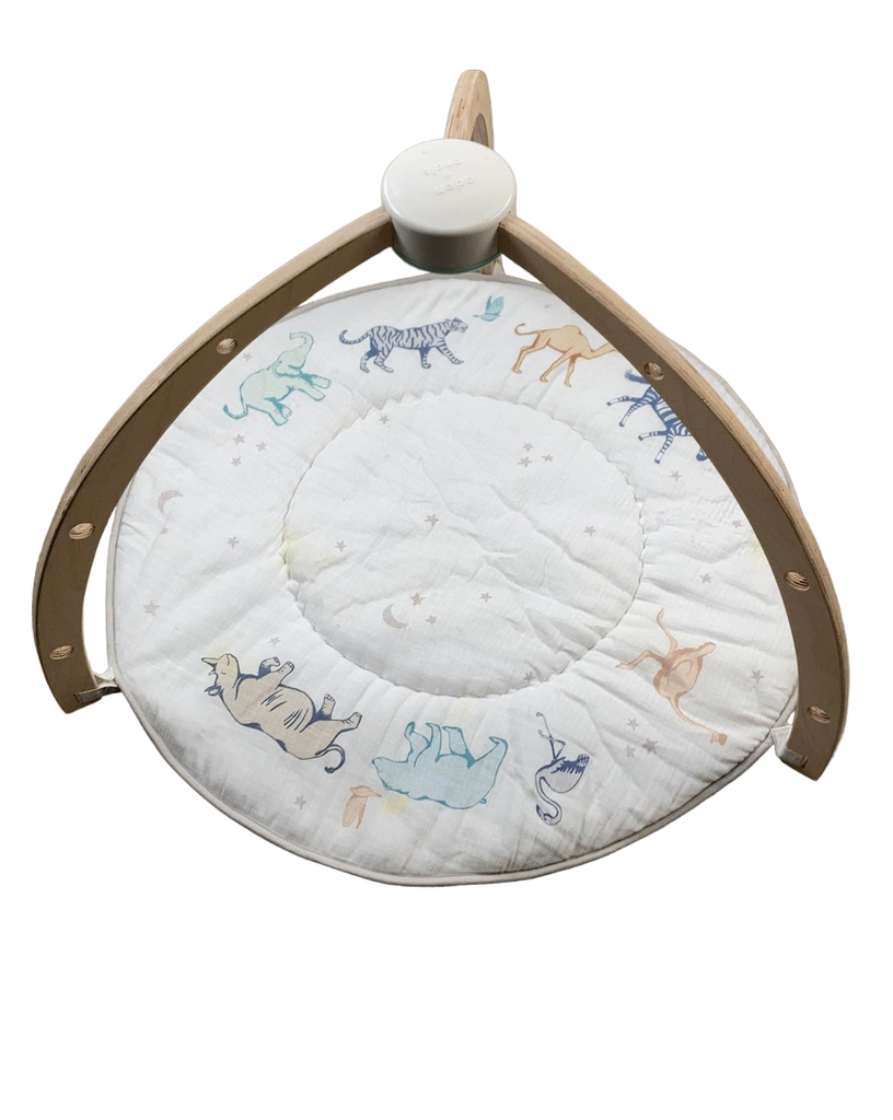 Aden + Anais Play + Discover Baby Activity Gym, Rising Star