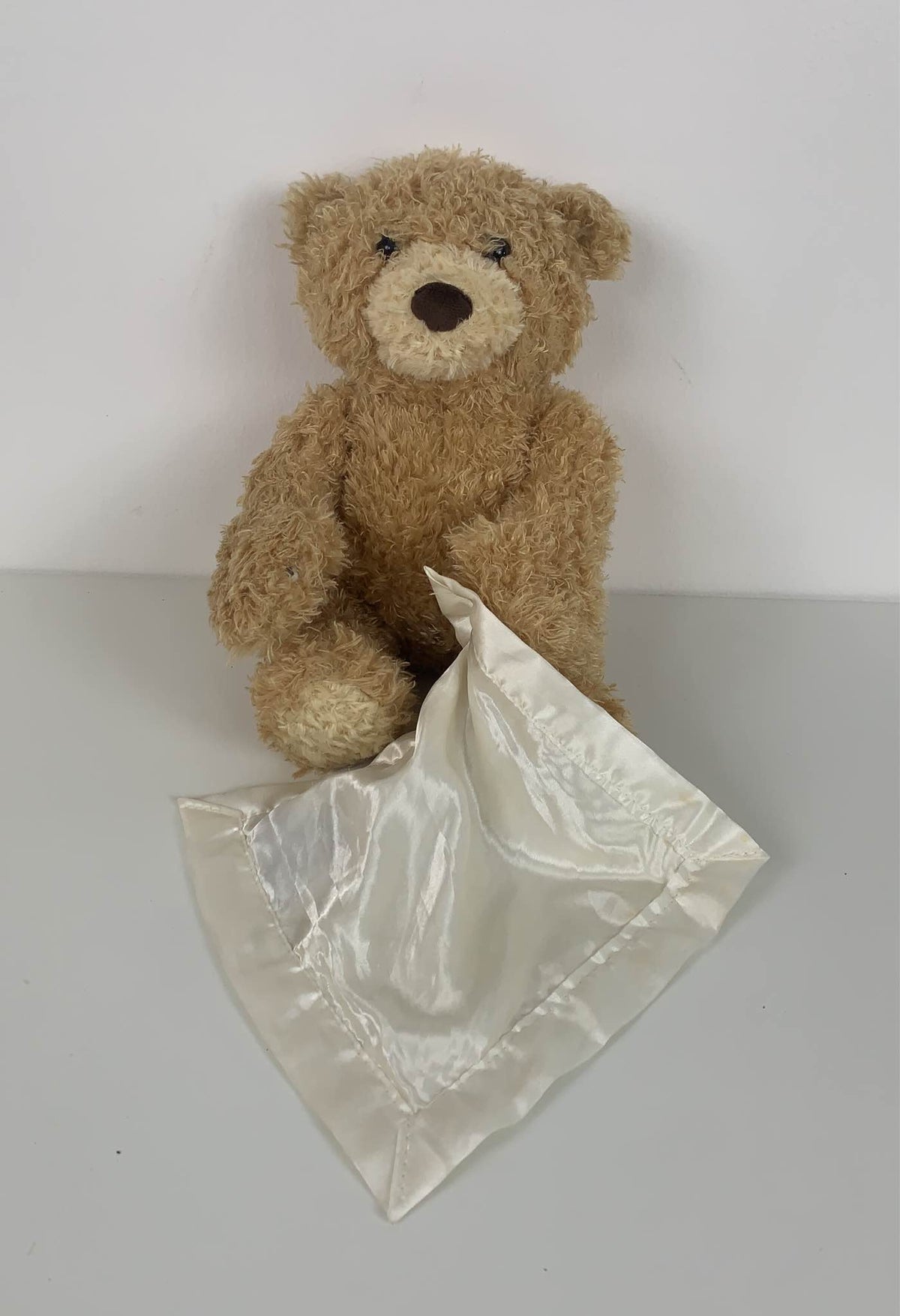 Gund Peek-A-Boo Bear — GoodBuy Gear