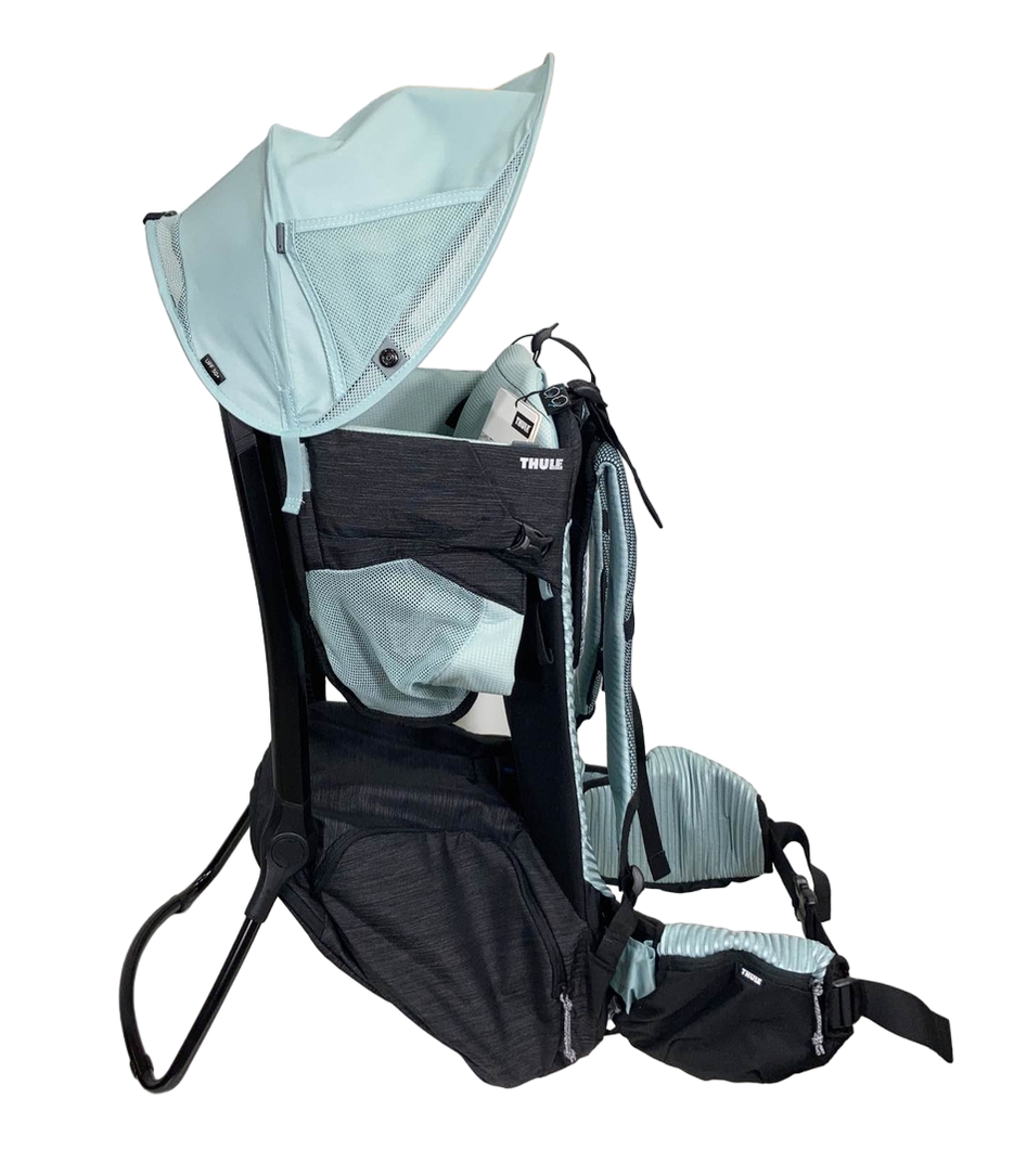 Thule Sapling Child Carrier, Black — GoodBuy Gear
