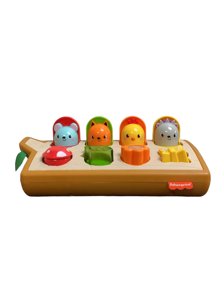 Fisher Price Hide & Peek Pop-Up
