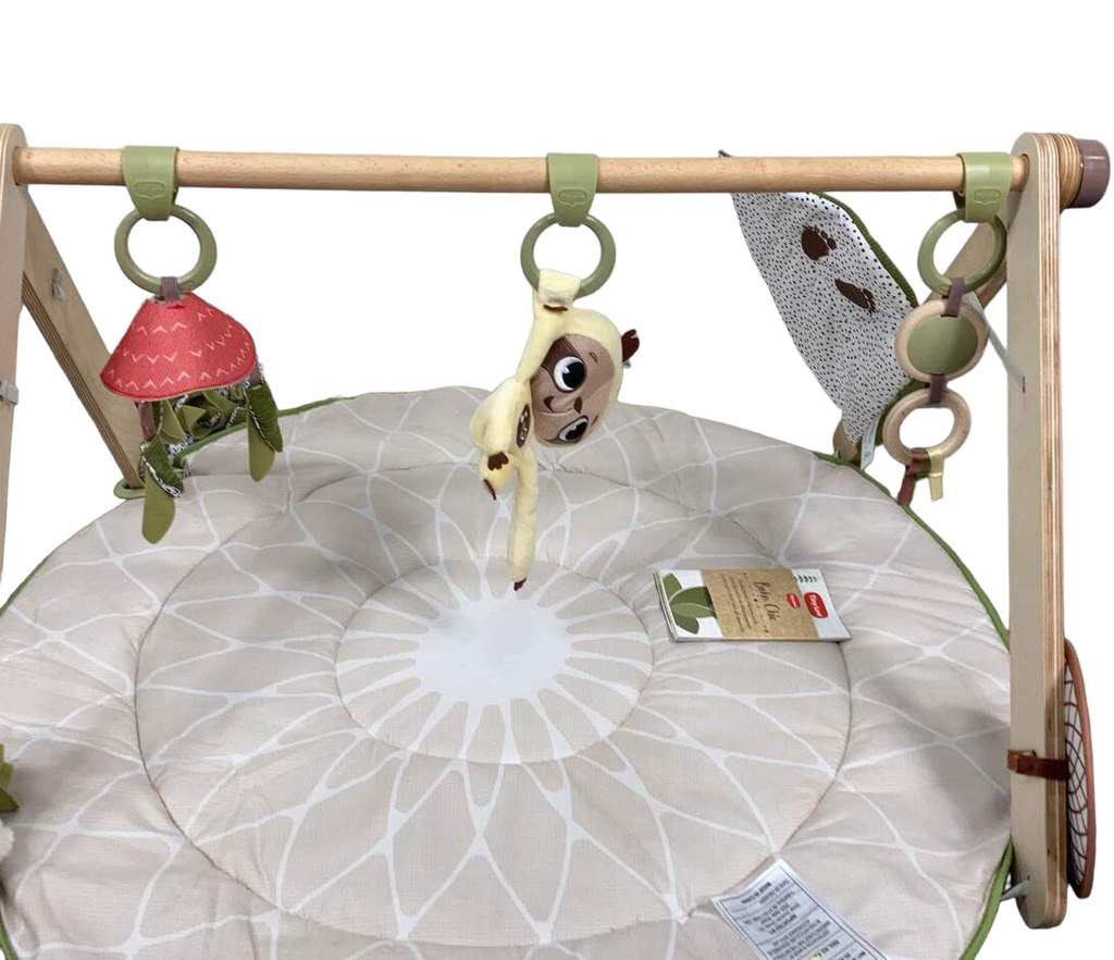 Tiny Love Boho Chic Luxe Developmental Gymini