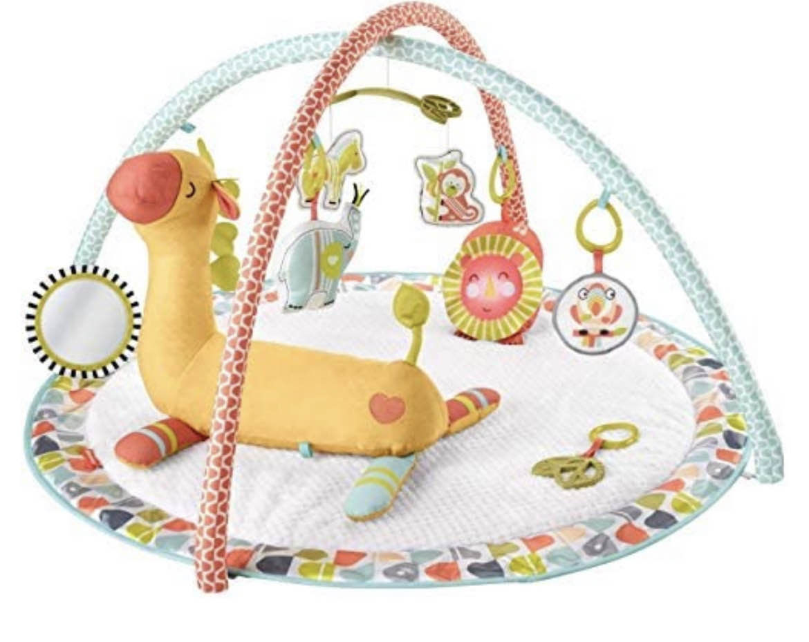 Fisher Price Go Wild Gym & Giraffe Wedge — GoodBuy Gear