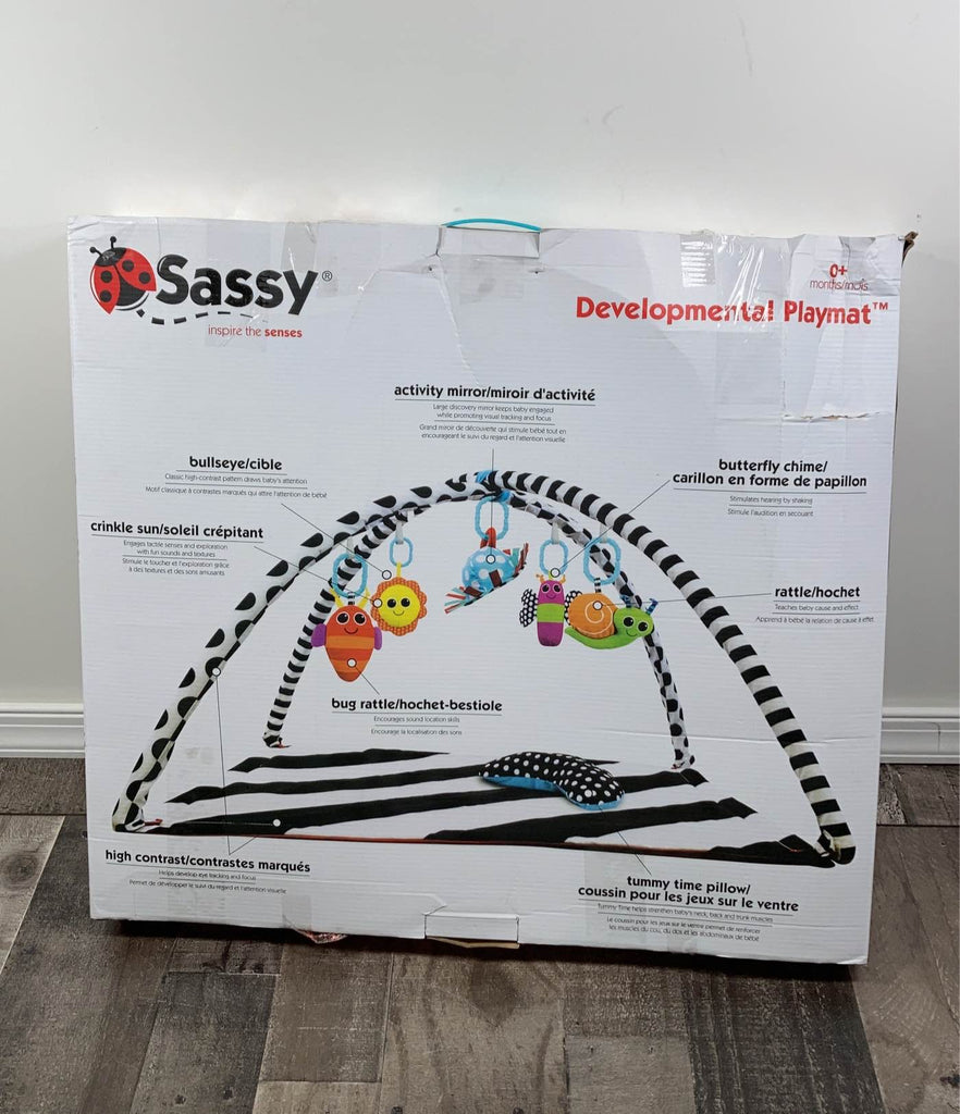 Sassy Developmental Playmat