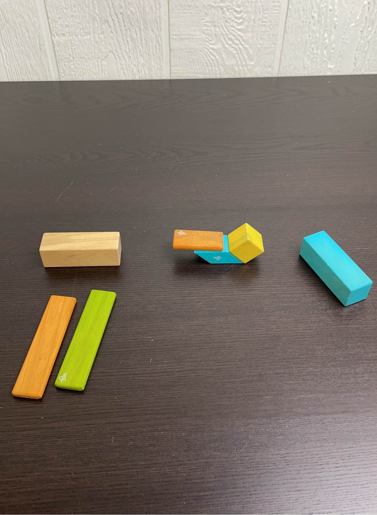 Tegu Magnetic Wood Blocks