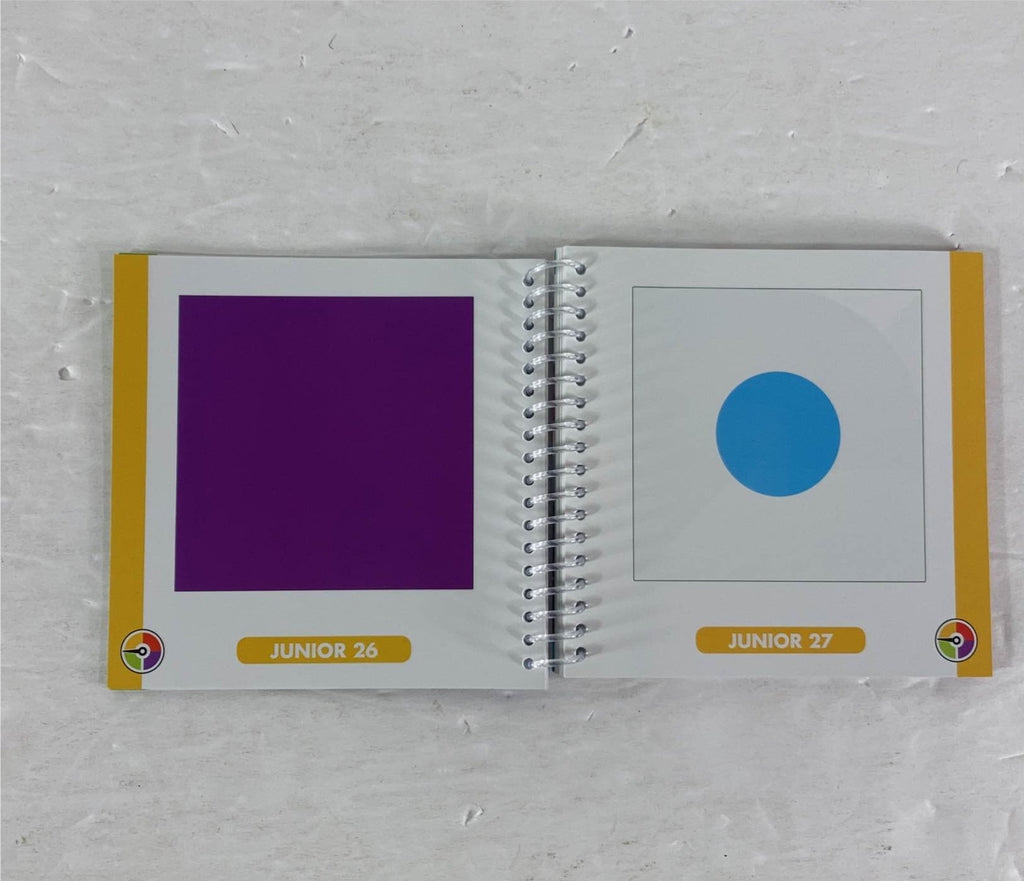 Smart Games Color Code