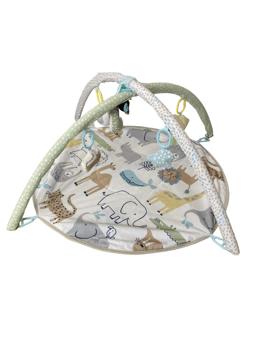 Carter’s Safari Play Gym — GoodBuy Gear