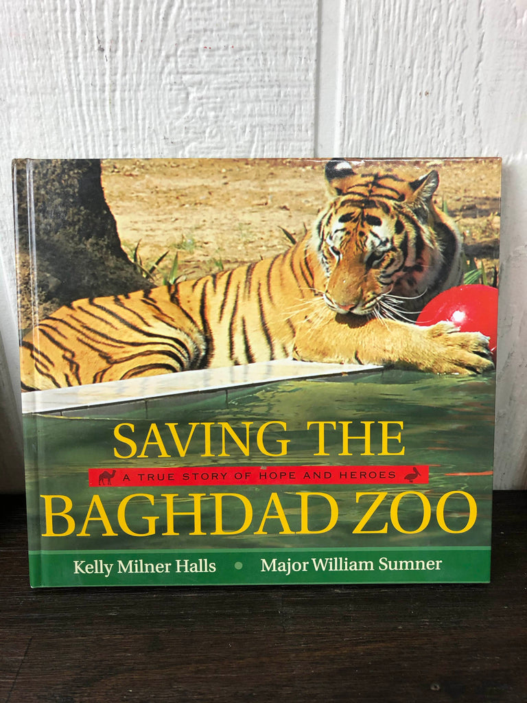BUNDLE Hardback Picture Books, Bugs, Safari, and Zoo