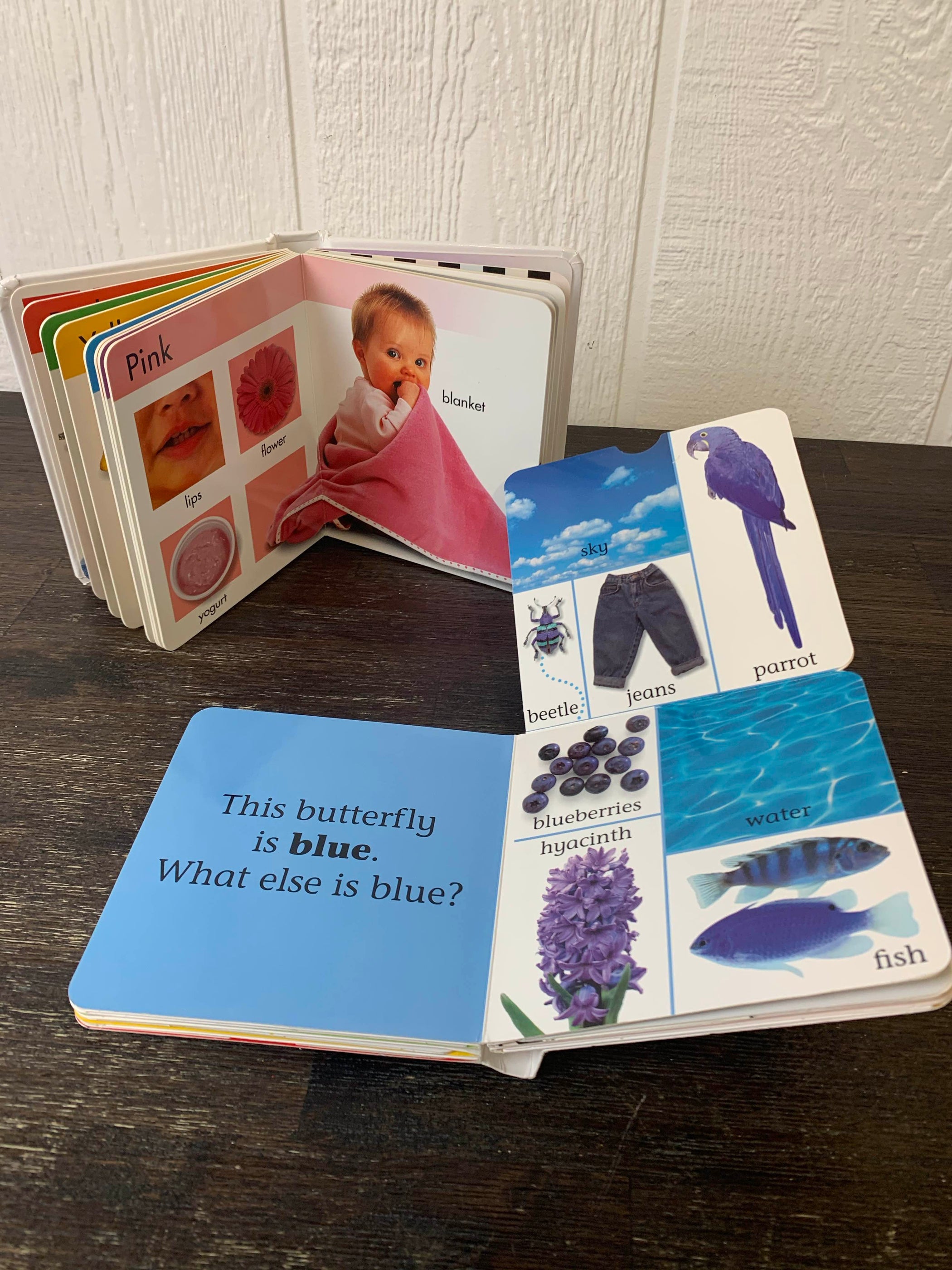 BUNDLE Board Books — GoodBuy Gear