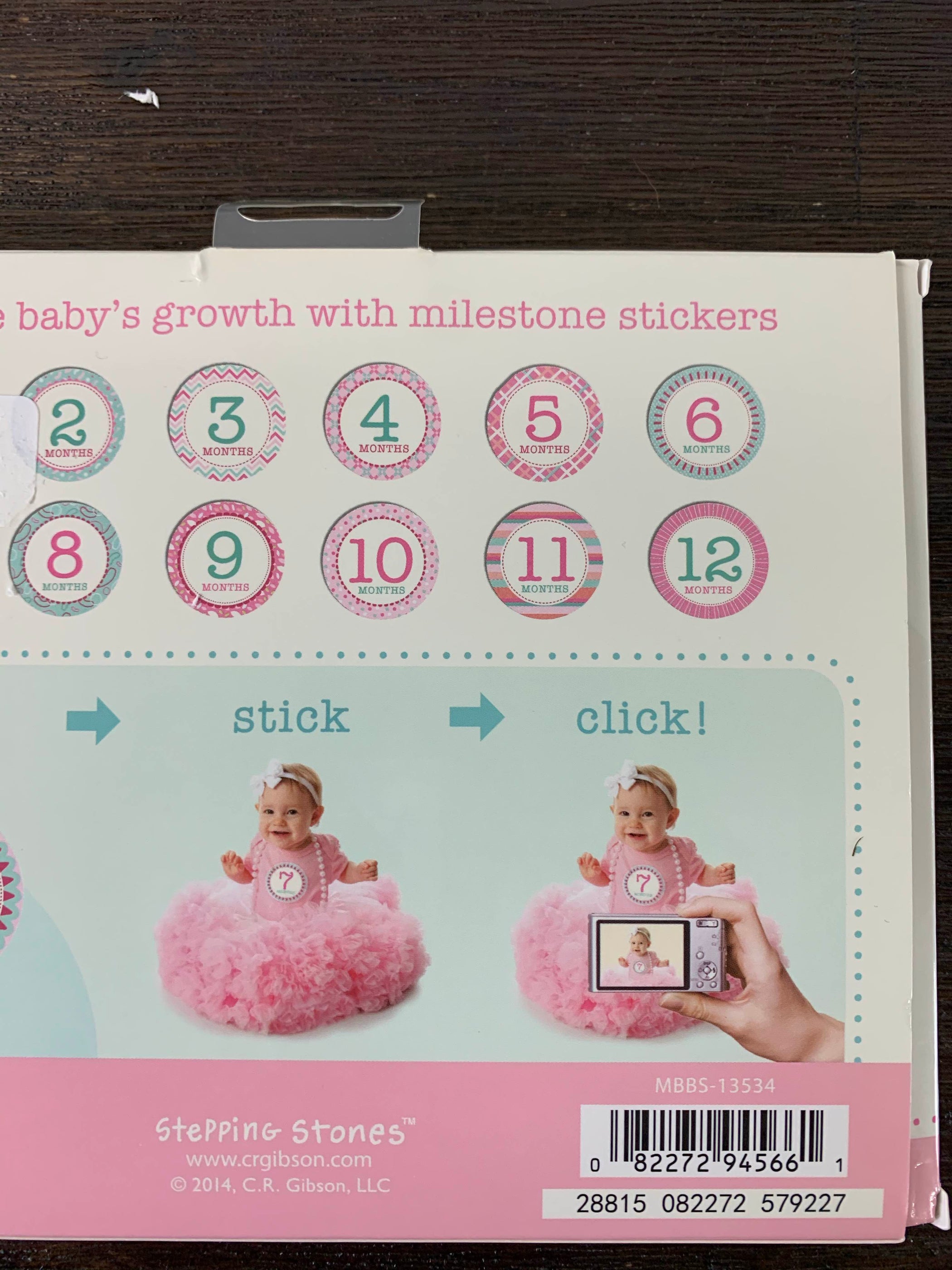 Stepping Stones Baby’s First Year Belly Stickers — GoodBuy Gear