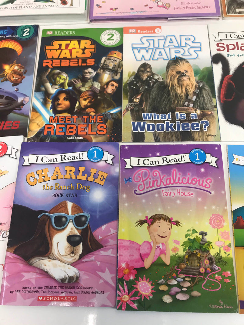 BUNDLE Books - Easy Readers And More