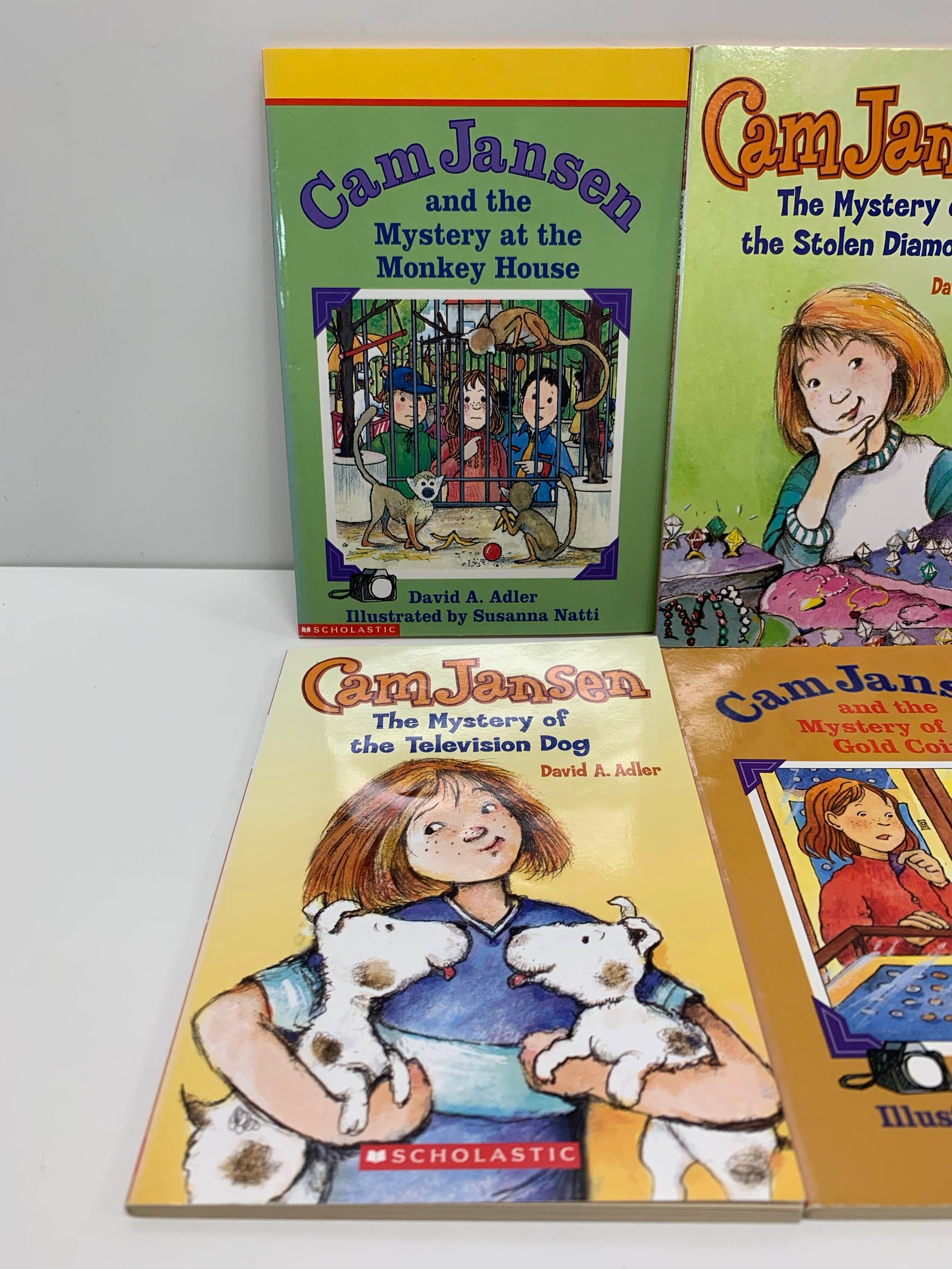 BUNDLE Children’s Chapter Books, Cam Jansen — GoodBuy Gear
