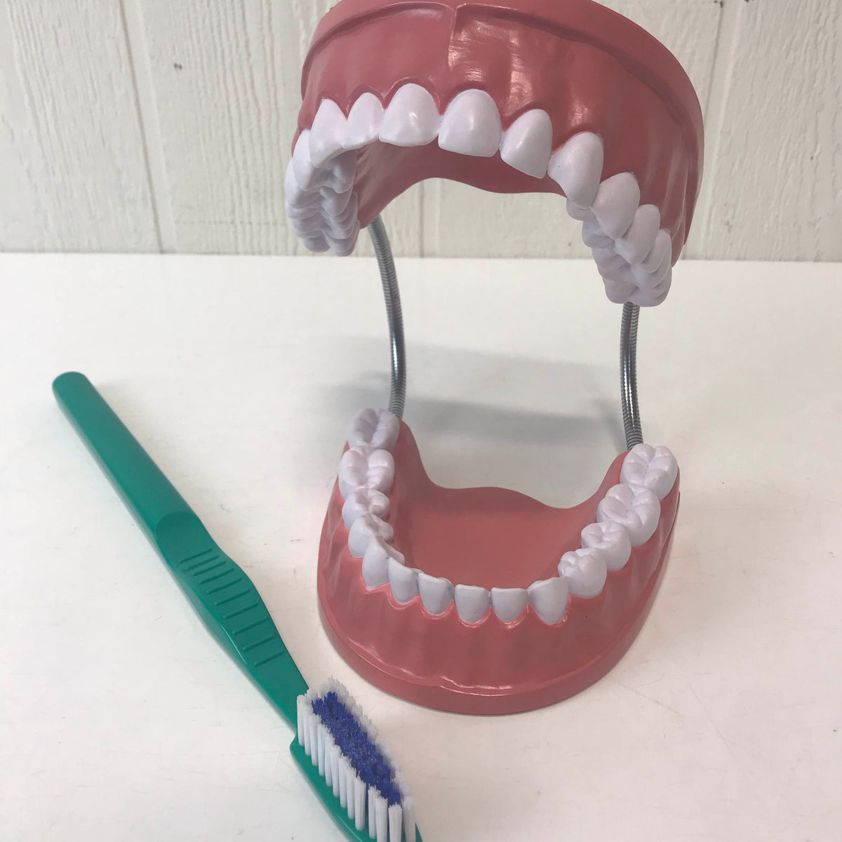 Lakeshore Learn To Brush Demonstration Kit — GoodBuy Gear