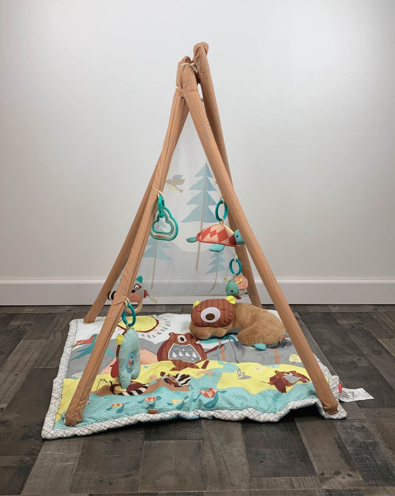 Skip Hop Camping Cubs Activity Gym