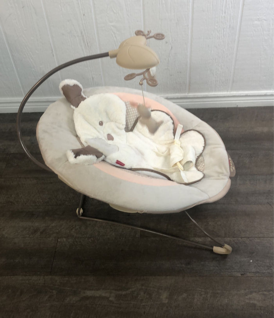 Fisher Price Deluxe Bouncer