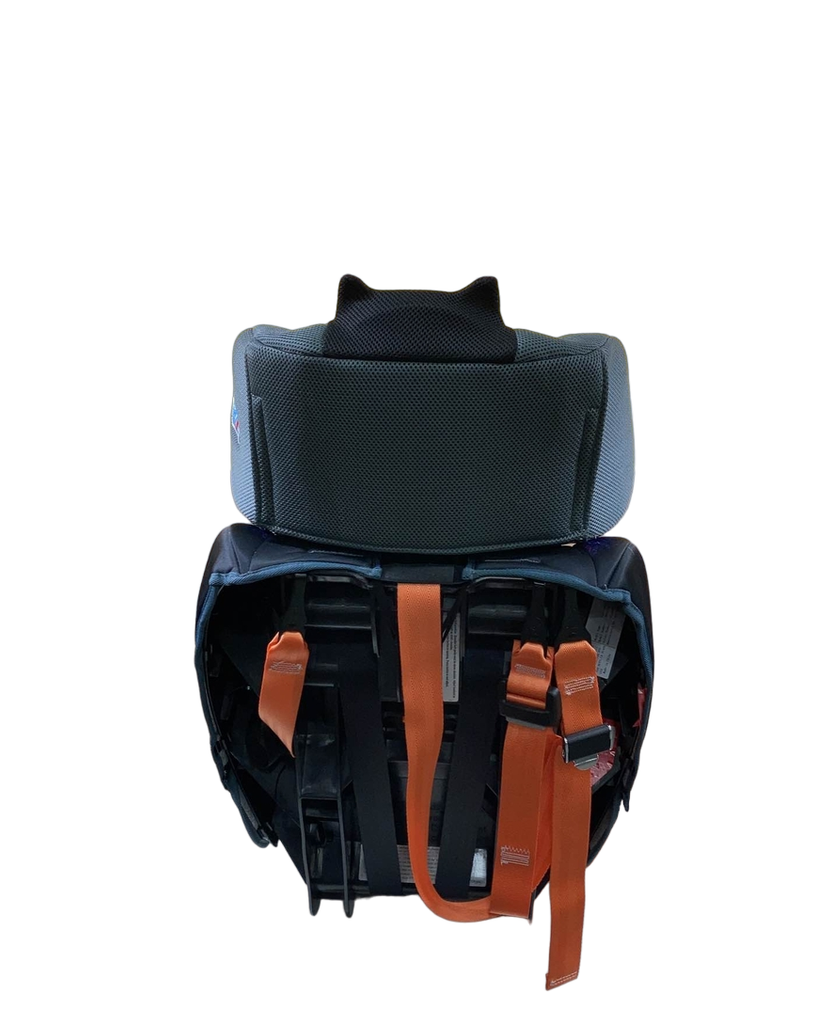 KidsEmbrace 2-in-1 Combination Harness Booster Car Seat, Black Panther