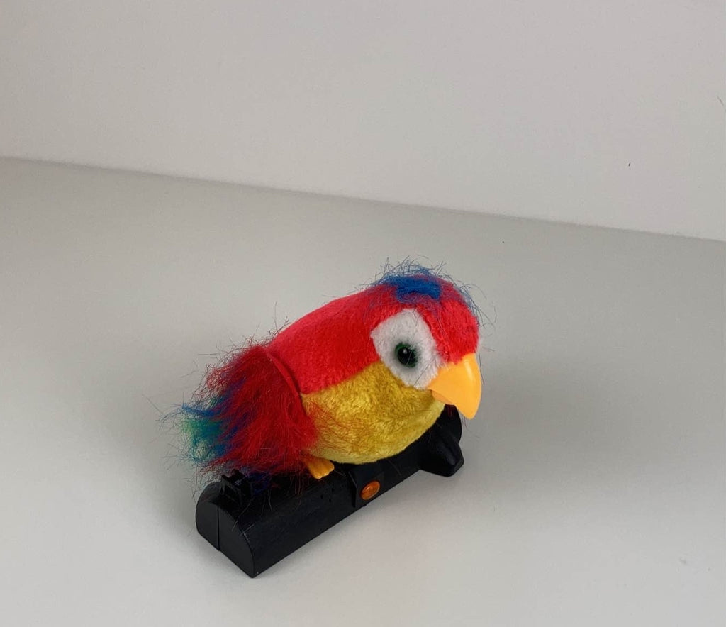 Talk Back Parrot