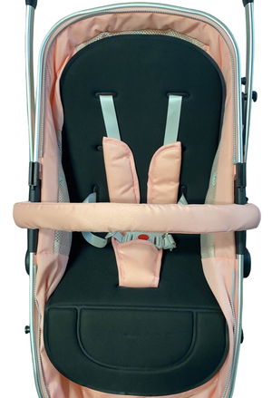 Kinder King 2 in 1 Convertible Baby Stroller