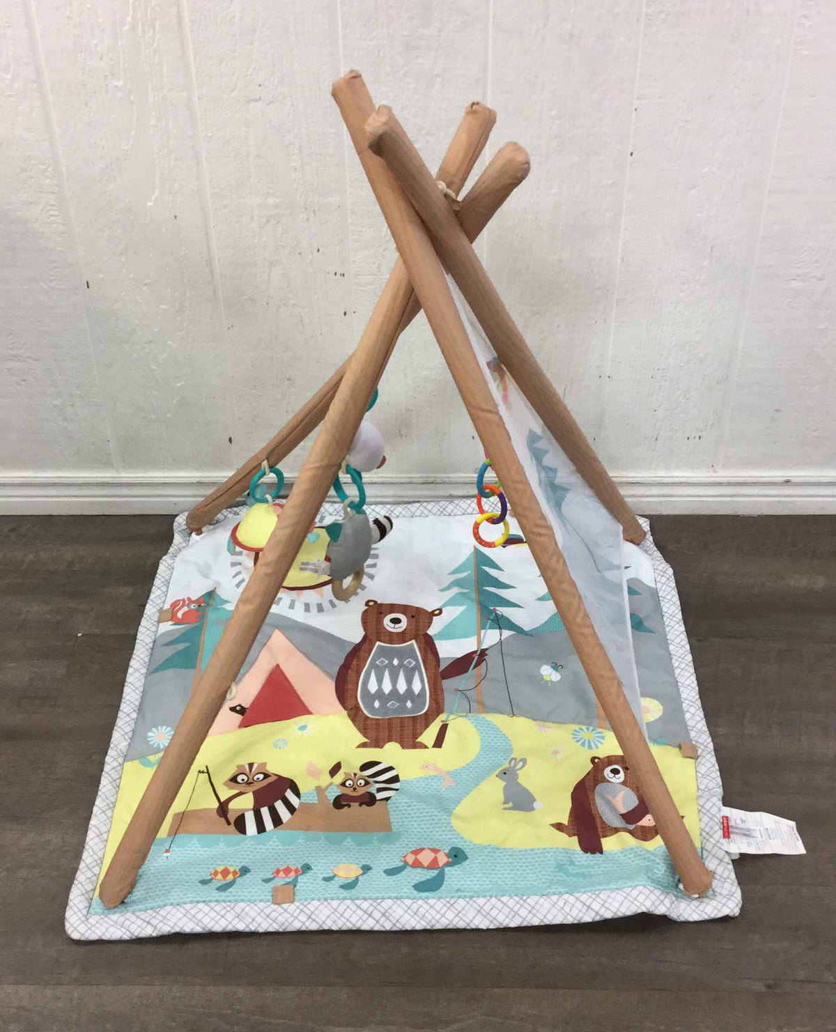 Skip Hop Camping Cubs Activity Gym — GoodBuy Gear