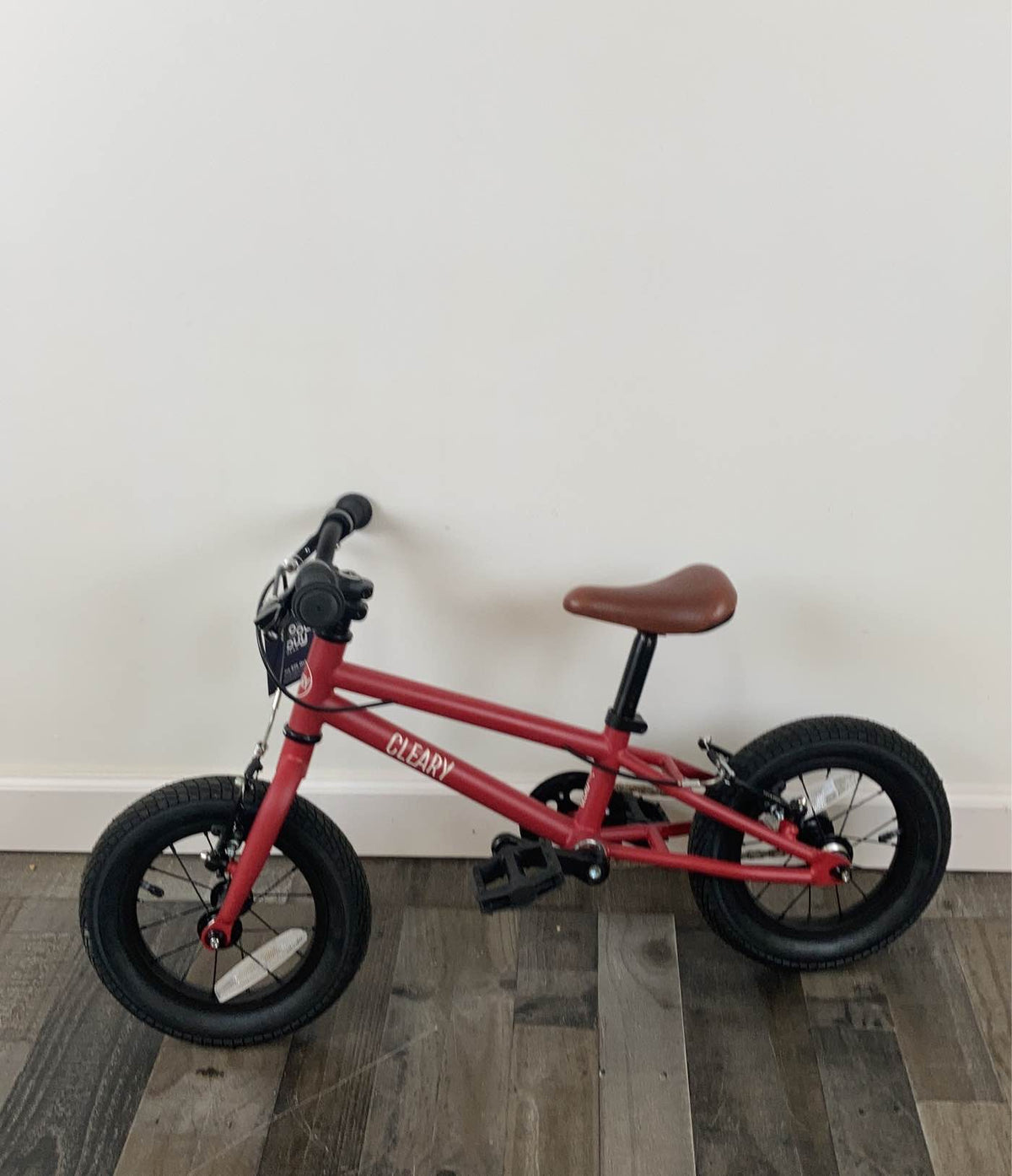 Cleary Gecko 12" Bike — GoodBuy Gear