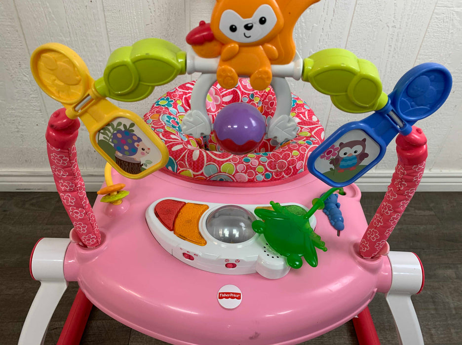 Fisher Price SpaceSaver Jumperoo Activity Center, Pink Floral — GoodBuy ...