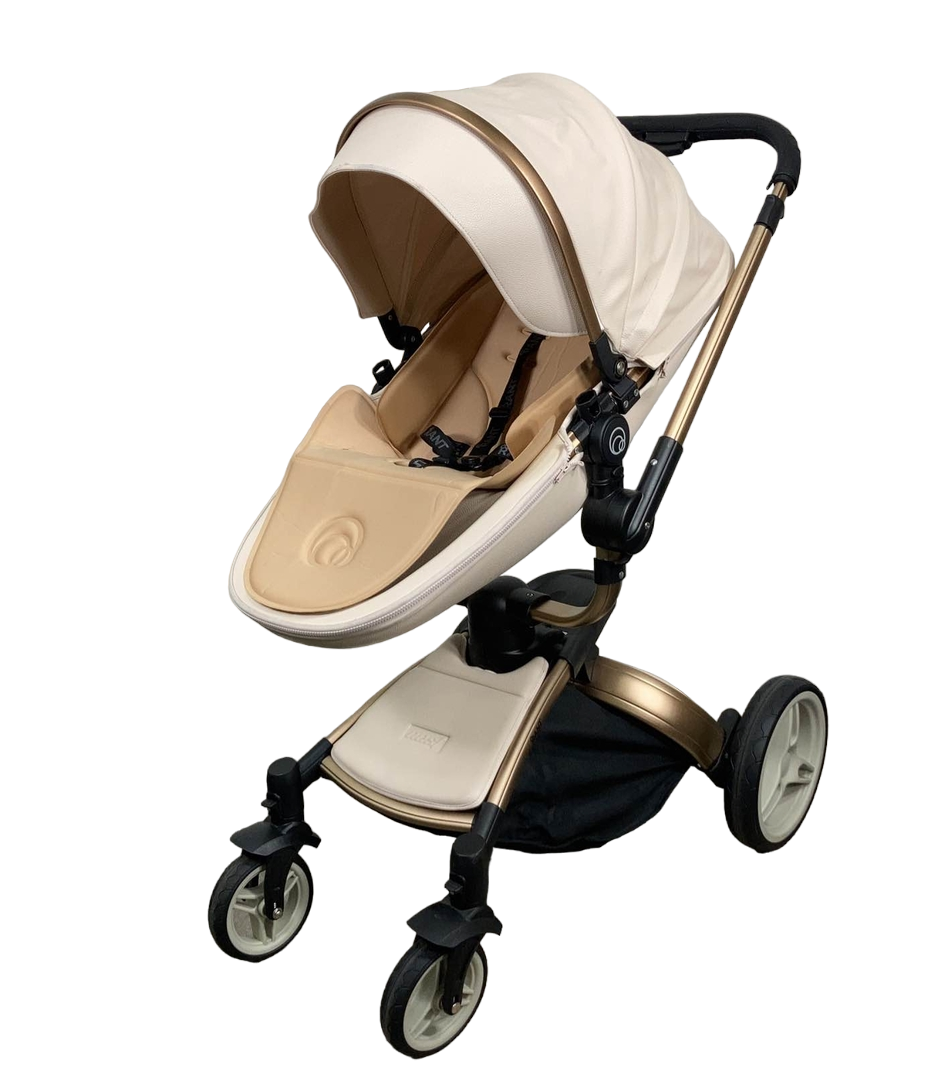 Rant 2-in-1 Nest Stroller — GoodBuy Gear