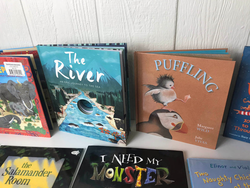 BUNDLE Picture Books