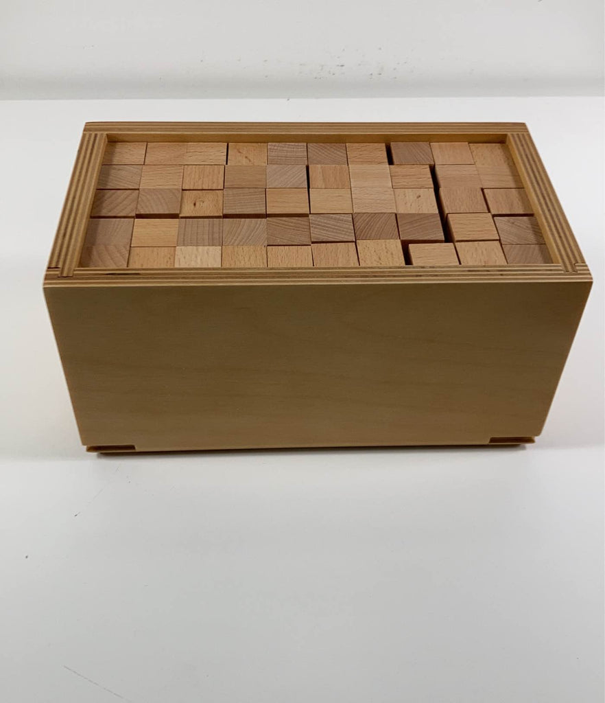 Alison’s Montessori Volume Box with 250 Cubes