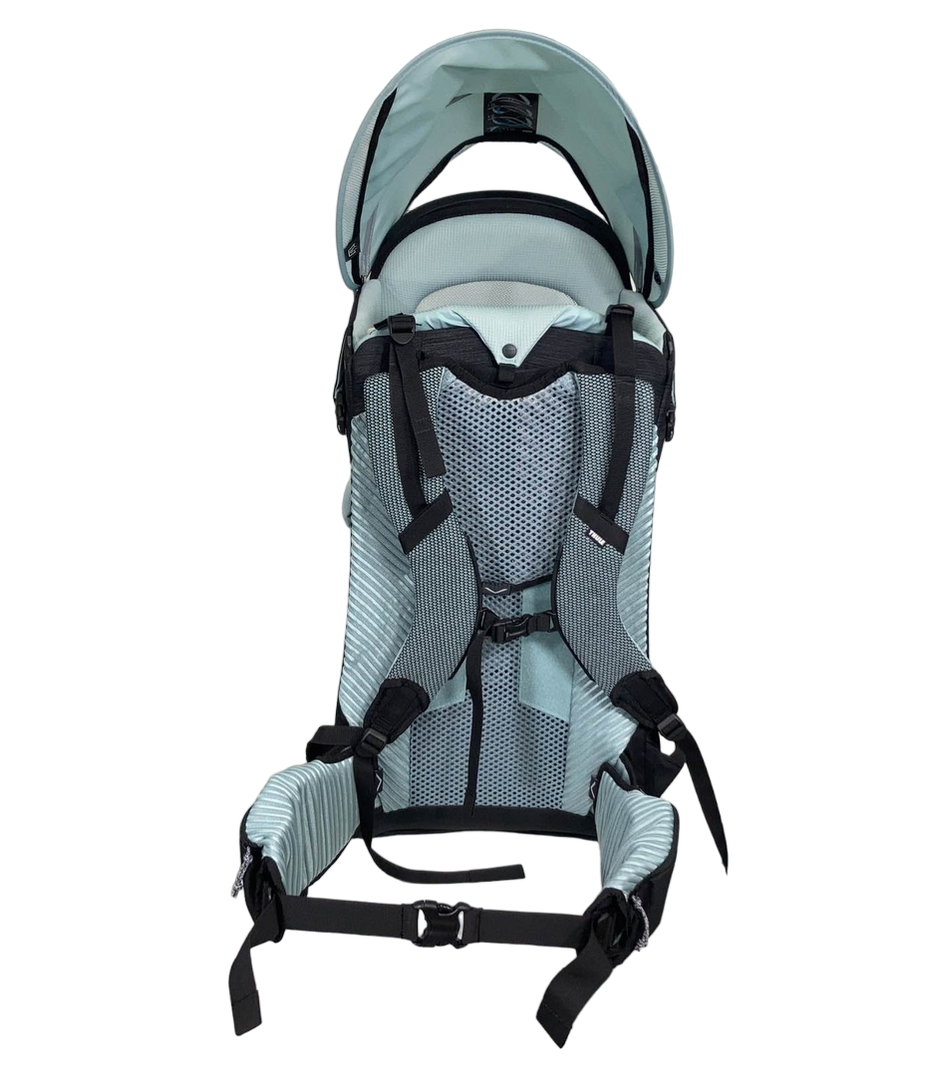 Thule Sapling Child Carrier, Black — GoodBuy Gear