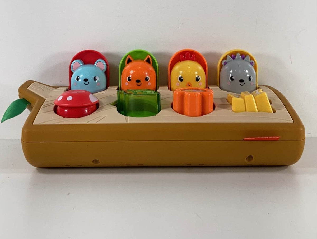 Fisher Price Hide & Peek Pop-Up — GoodBuy Gear
