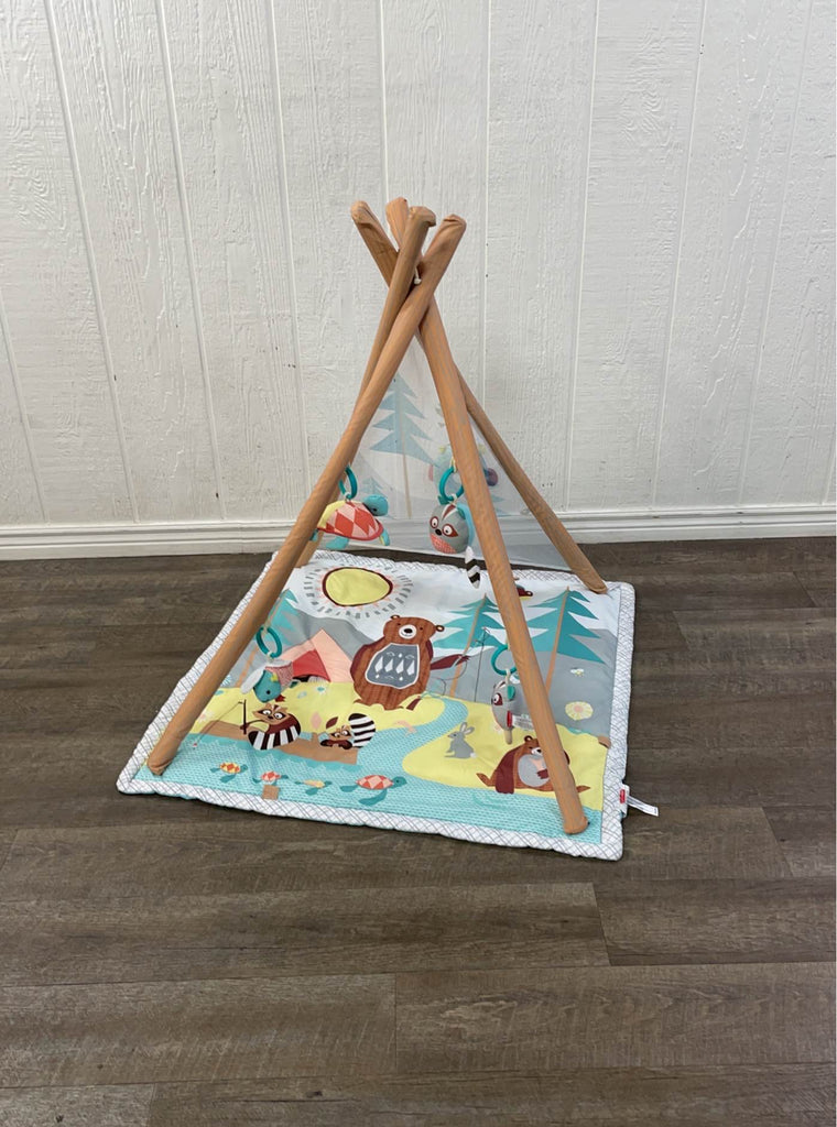 Skip Hop Camping Cubs Activity Gym