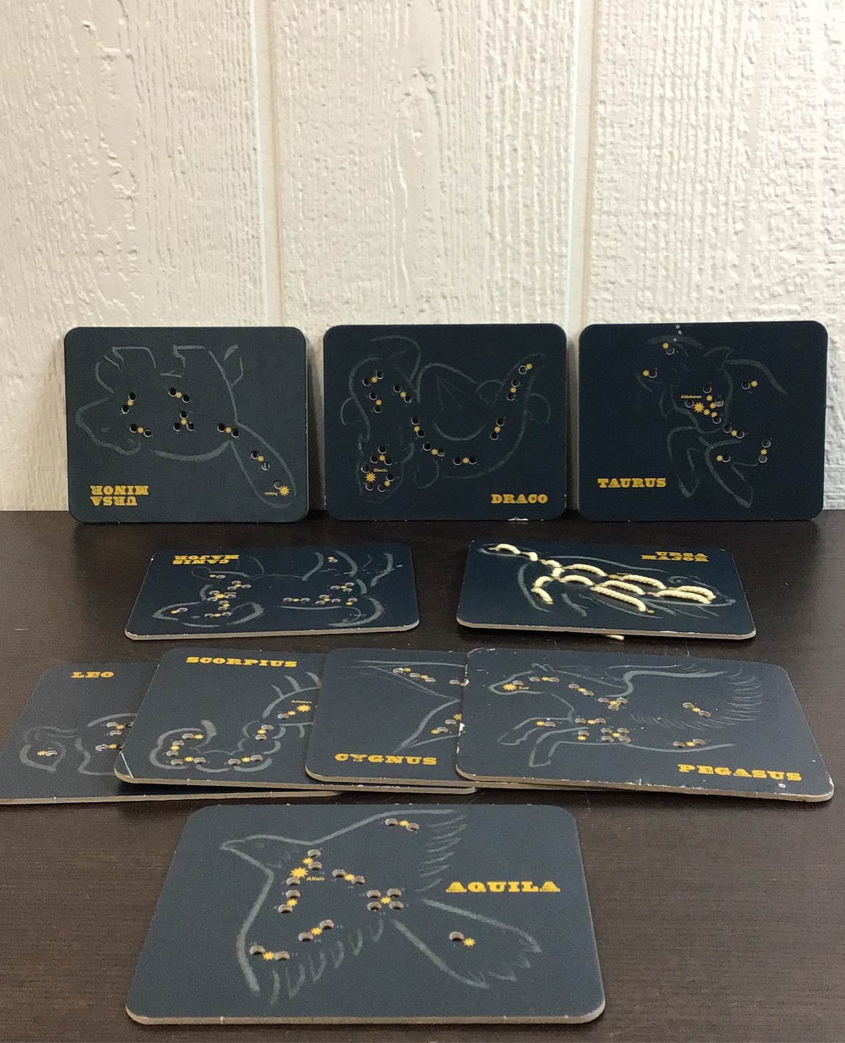 Chronicle Books Animals in the Stars Lacing Cards — GoodBuy Gear
