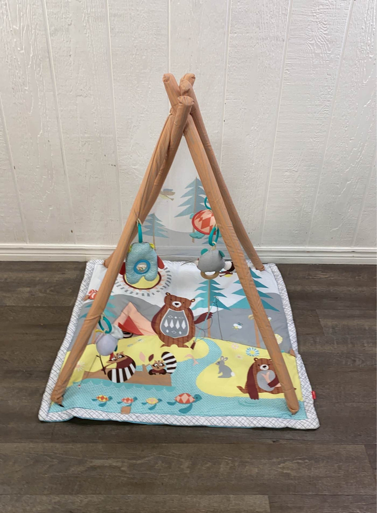 Skip Hop Camping Cubs Activity Gym — GoodBuy Gear