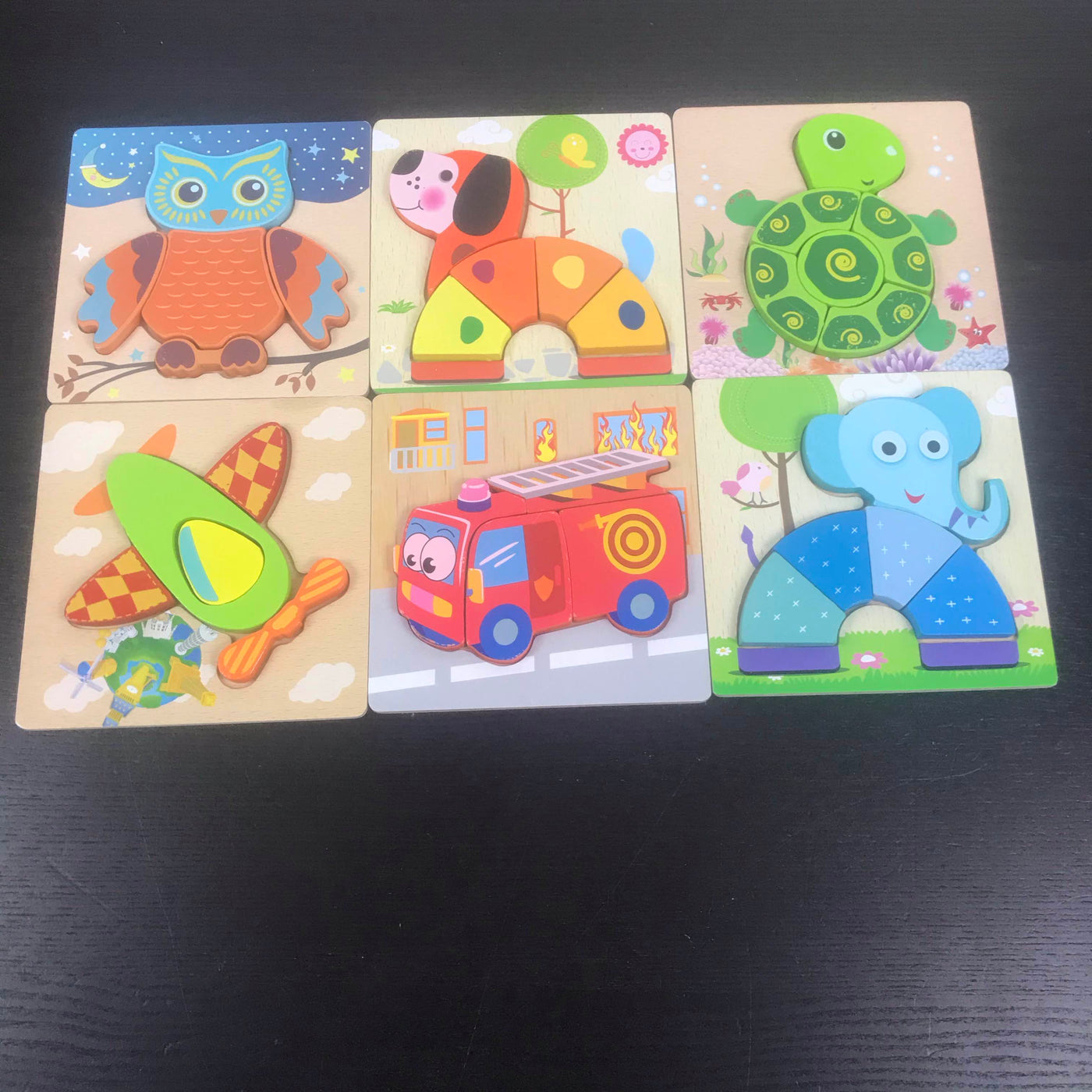 LURLIN 6 Piece Toddler Puzzles — GoodBuy Gear