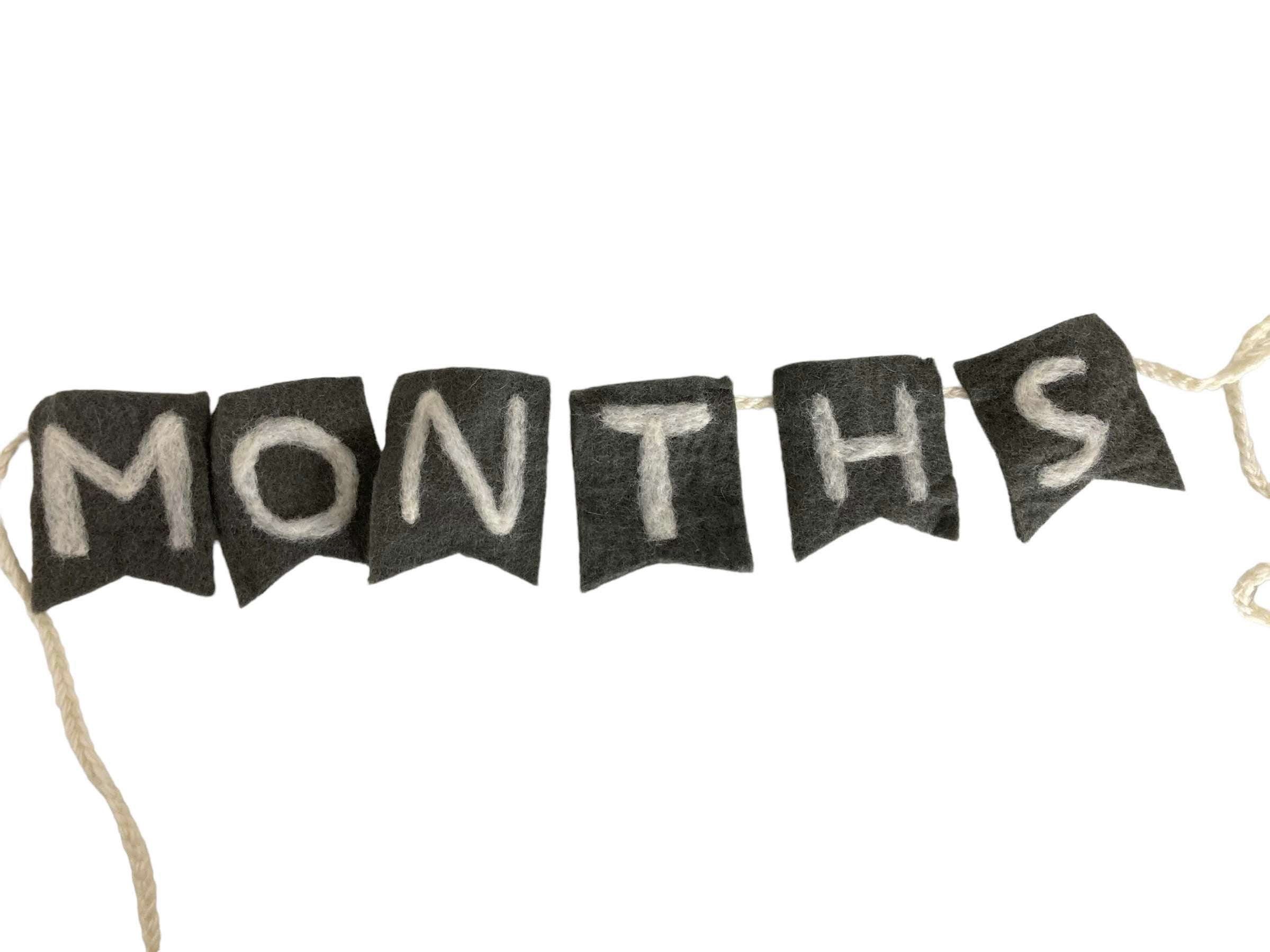 Monthly Milestone Banner — GoodBuy Gear