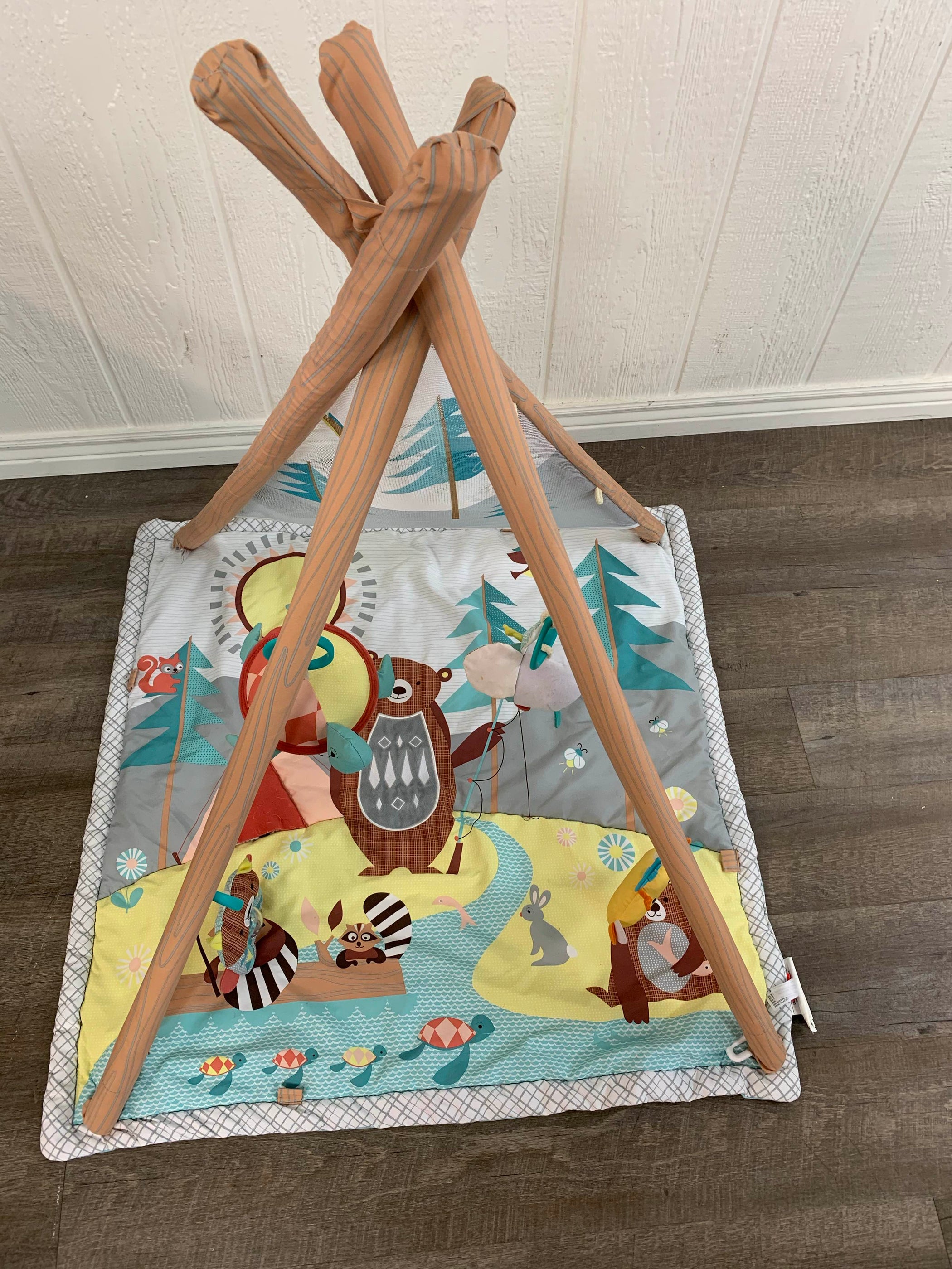 Skip Hop Camping Cubs Activity Gym — GoodBuy Gear