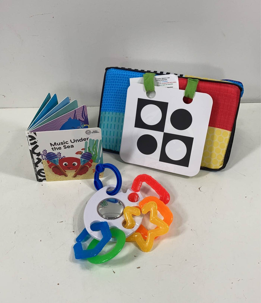 Baby Einstein Baby's First Art Teacher Developmental Toys Kit
