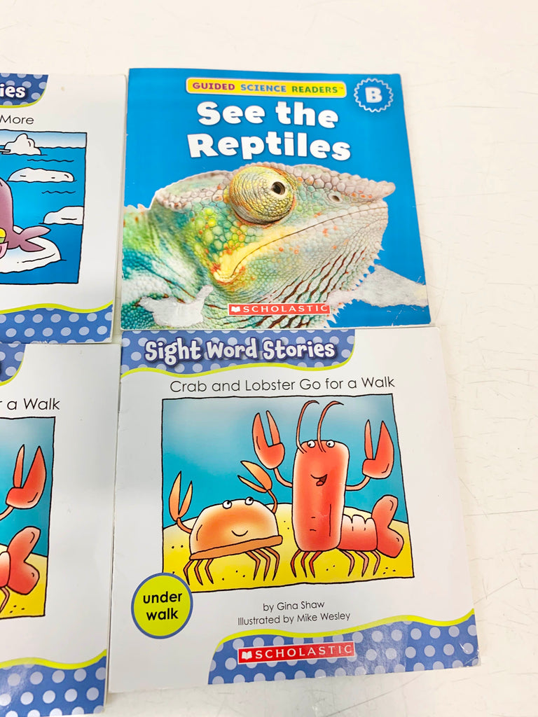 BUNDLE Easy Reading Books, Scholastic Sight Words