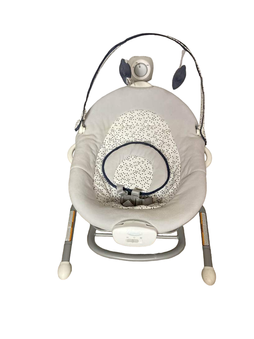 Graco Soothe 'n Sway Swing with Portable Rocker, Easton — GoodBuy Gear