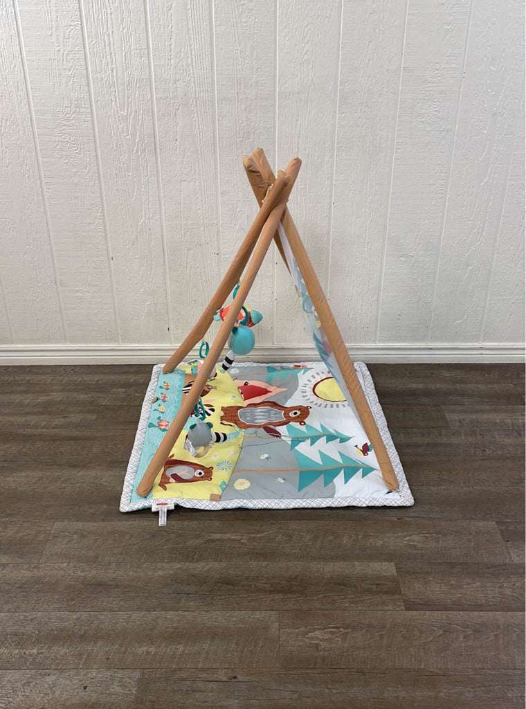 Skip Hop Camping Cubs Activity Gym