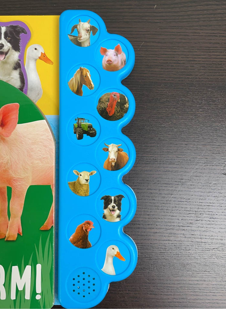 Discovery Kids Oink On The Farm!