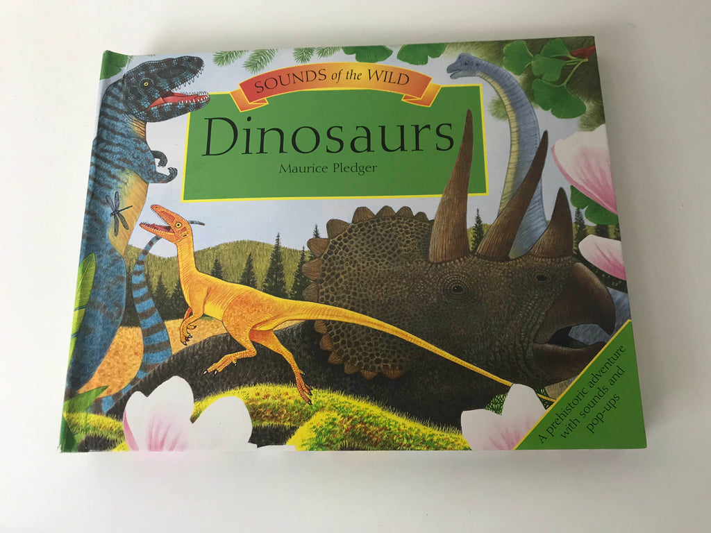 BUNDLE Books With Pop Out Pages