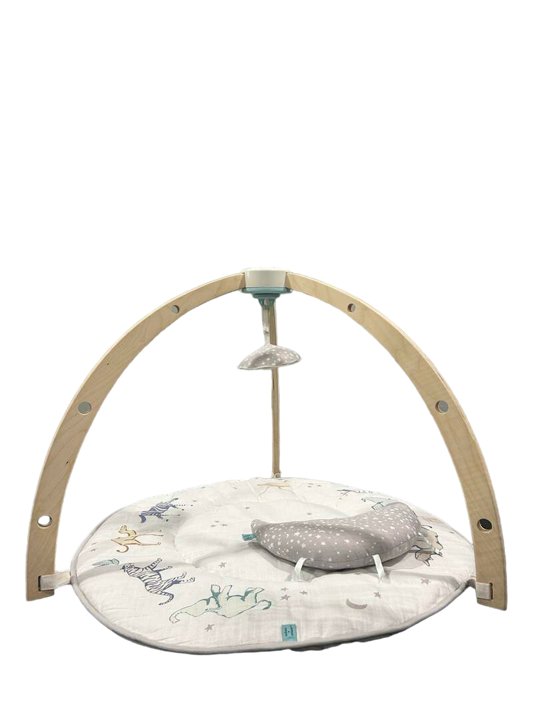 Aden + Anais Play + Discover Baby Activity Gym, Rising Star