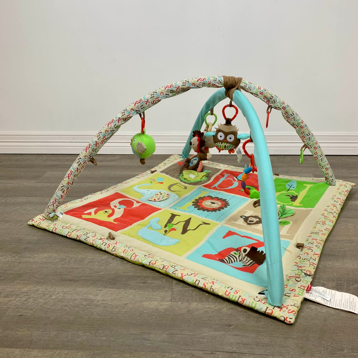 Skip Hop Activity Gym/ Playmat — GoodBuy Gear